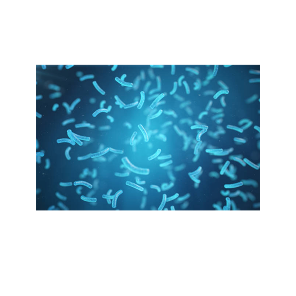 3.Discover Lago: Your Source for Micro-Organism-Free, High-Quality ...